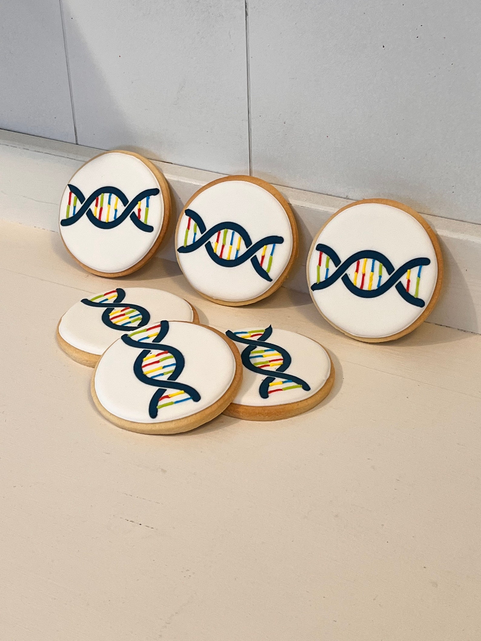 DNA Double Helix Science Cookies - 1 Dozen - Etsy