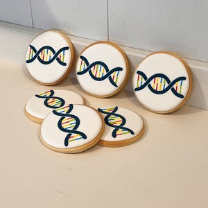 DNA Double Helix Science Cookies - 1 Dozen - Etsy