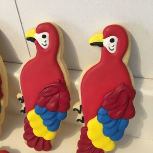 Margaritaville Parrot Cookies 1 Dozen - Etsy