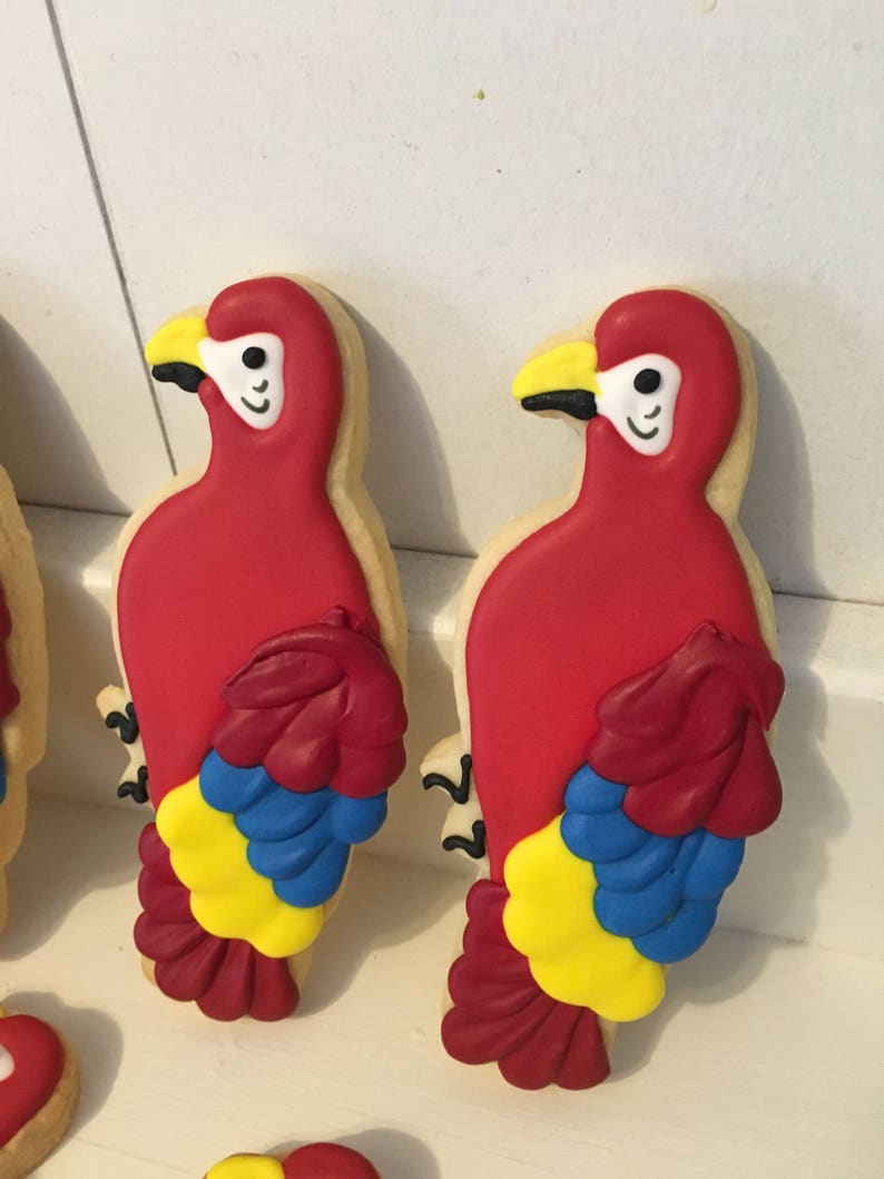 Margaritaville Parrot Cookies 1 Dozen - Etsy