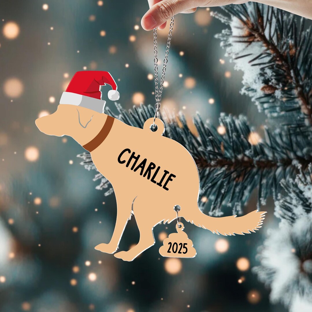 Funny Poop Puppy Christmas Ornament 2025: Window Hanging Acrylic ...