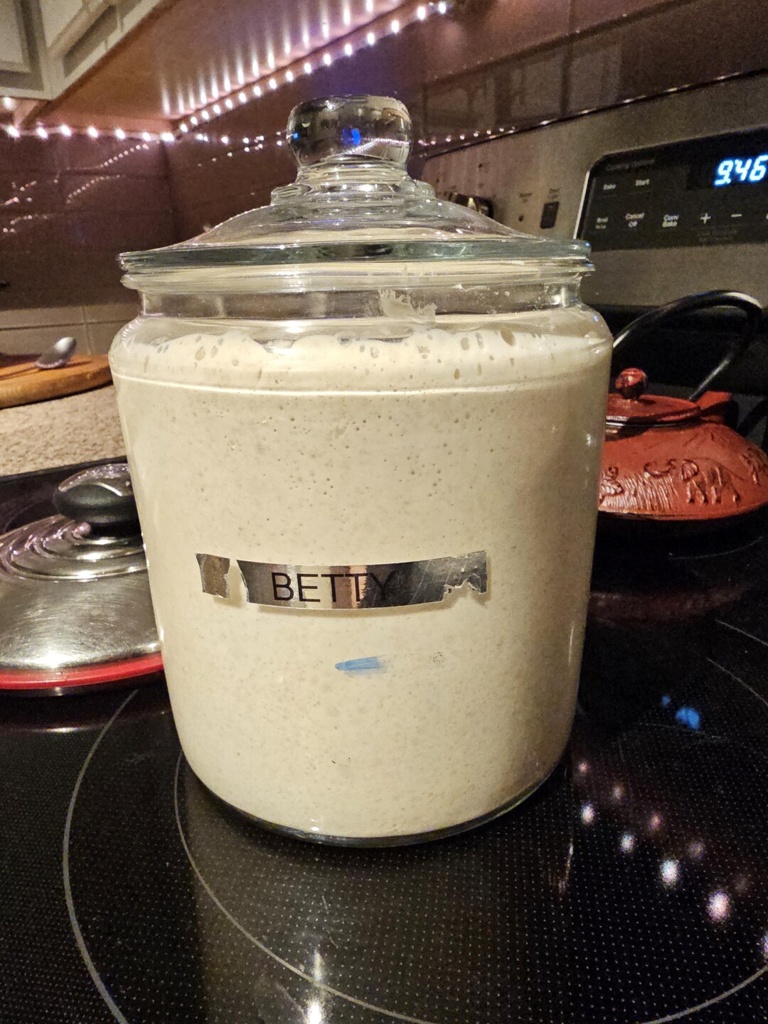 Sourdough Starter - Etsy