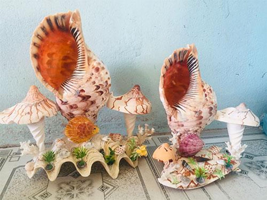 Handicrafts Made From Conch Shells and Cotton, Kim Khoi Conch, Gai ...