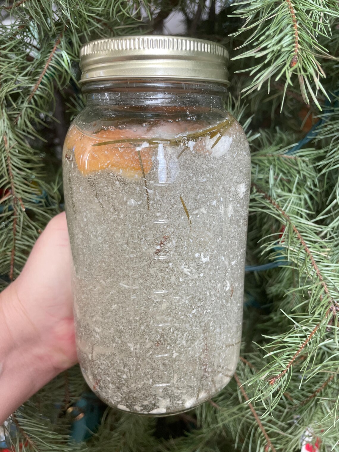 Homemade Pine Sol, All-natural Surface Cleaner - Etsy