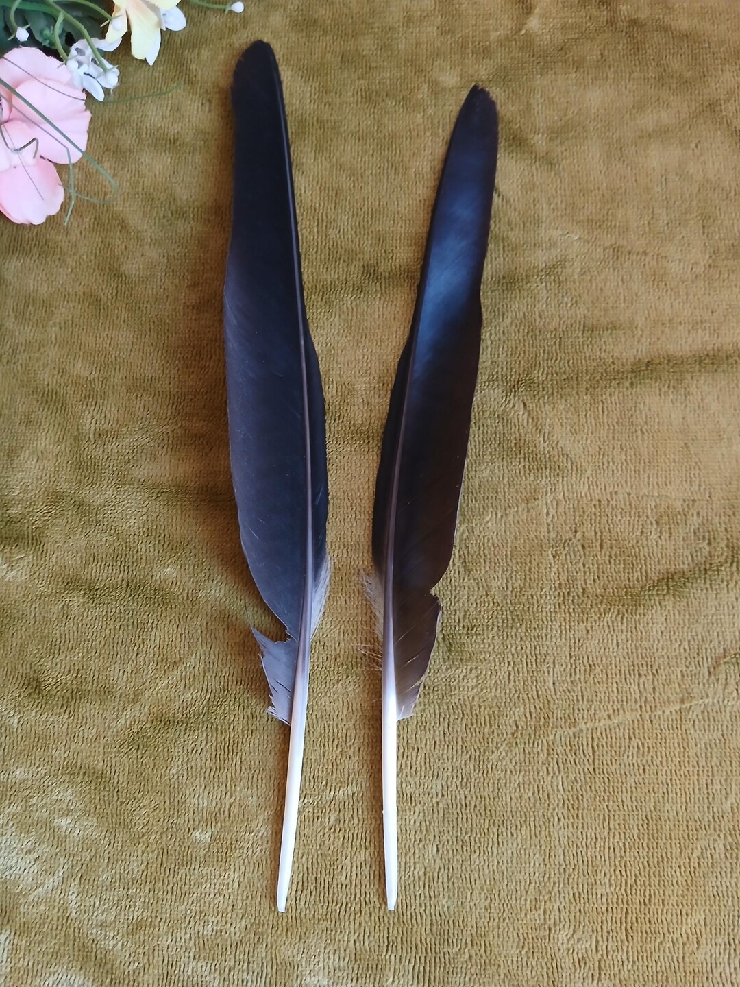Natural Black Crow Wing Feathers: Ethically Sourced Craft Supplies (set ...