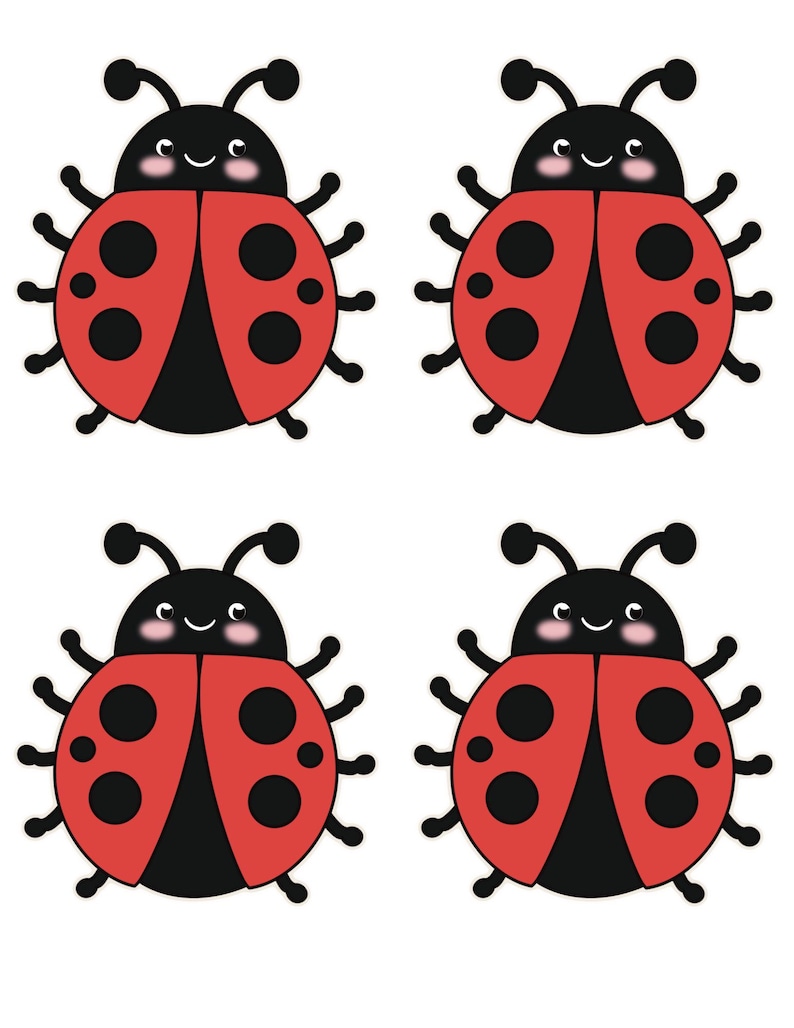 Valentine’s Day Bulletin Board Ideas,love Bug Theme Classroom Decor for ...