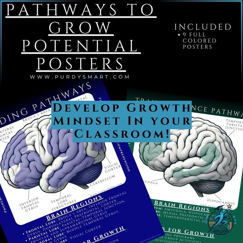 Pathways to Grow Potential | 9 Printable Growth Mindset Posters - Etsy