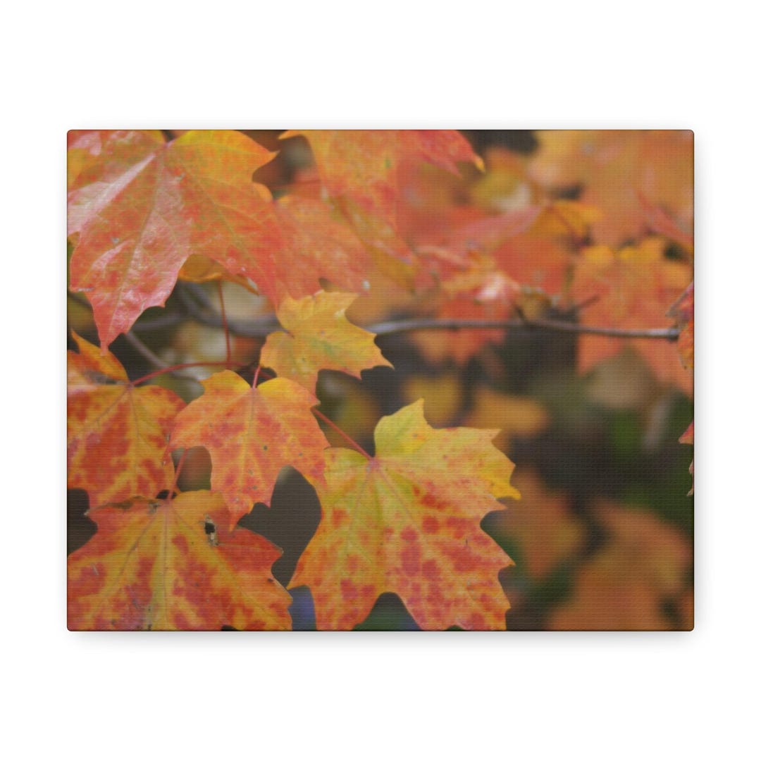 Wall Decor Fall Leaves Canvas Gallery Wraps Cottagecore - Etsy