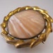Antique Art Deco Shell Gilt Brooch Antique Brooch Antique - Etsy