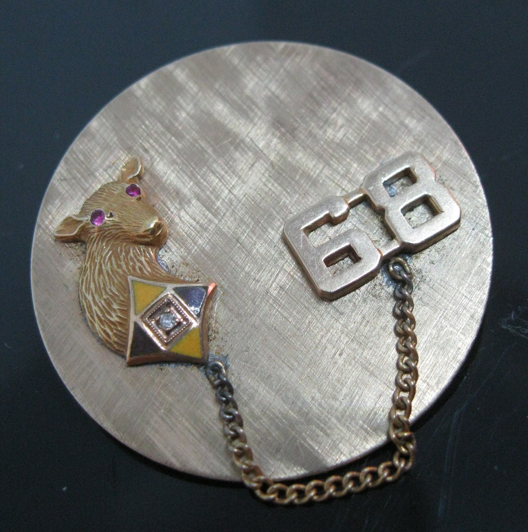 Ladies 1968 Class Pin School Pin College Pin Elks Club Pin Moose Club ...