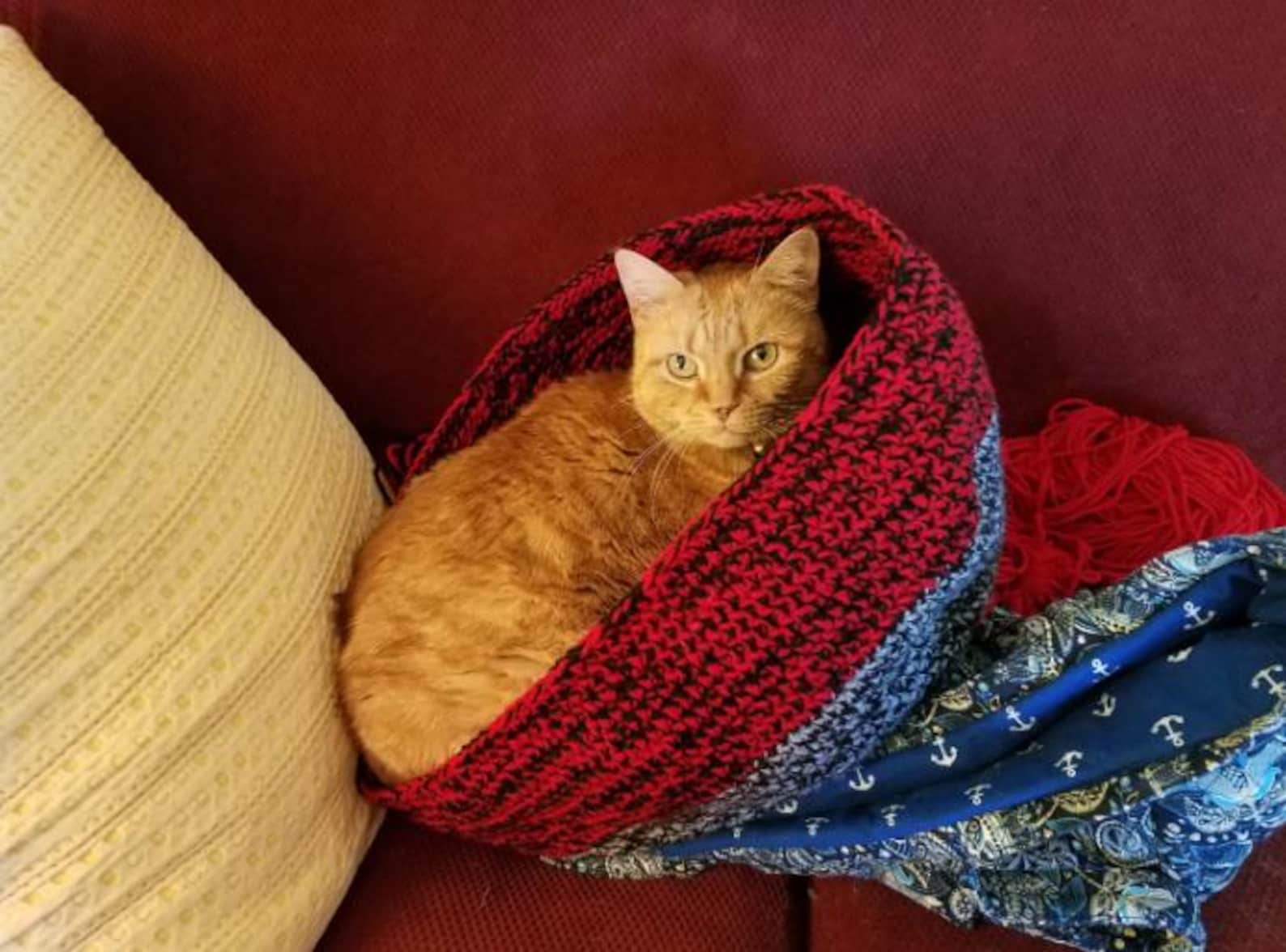 Cat Pod Crochet Pattern © - Etsy