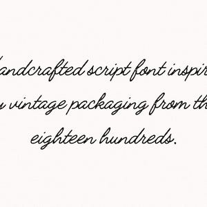 Jimmy Rough Font Collection – Vintage-inspired Sans, Serif, and Script ...