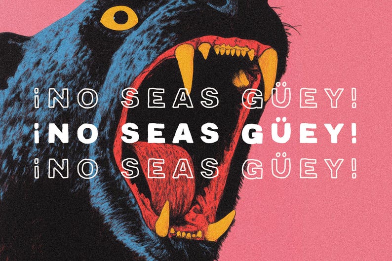 Brush Font Collection Acrylic Hand Fonts With Tall, Regular, Thick Sans ...