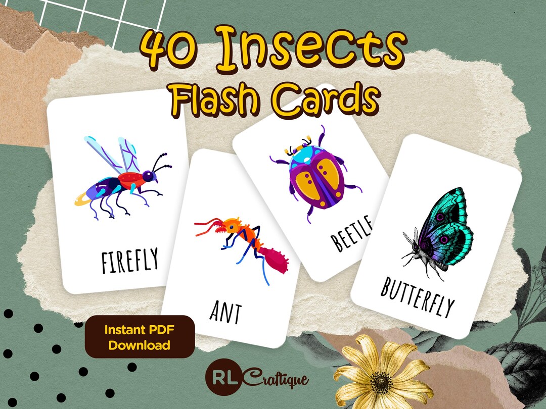 40 Insect Flash Cards for Kids | Montessori Cards | Pdf Printable Cards ...