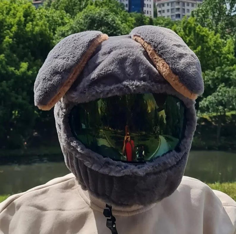 Helmet Cover Plush, Motorcycle Helmet Cover, Motorbike Funny Case ...