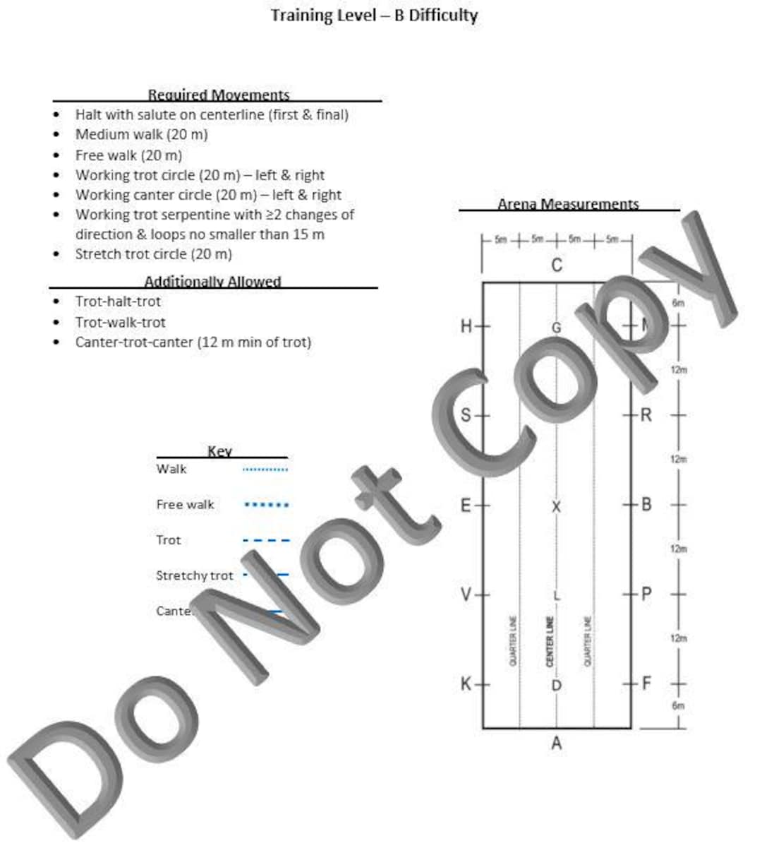 TL USDF Dressage Musical Freestyle Choreography - Training Level B ...