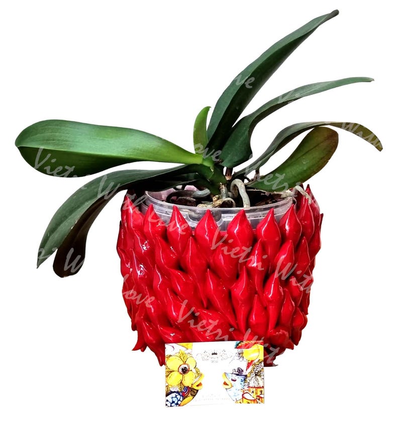 Positano Amalficoast Planter Holder Vase Cache-pot Handmade Made in ...