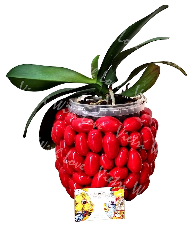 Positano Amalficoast Planter Holder Vase Cache-pot Handmade Made in ...