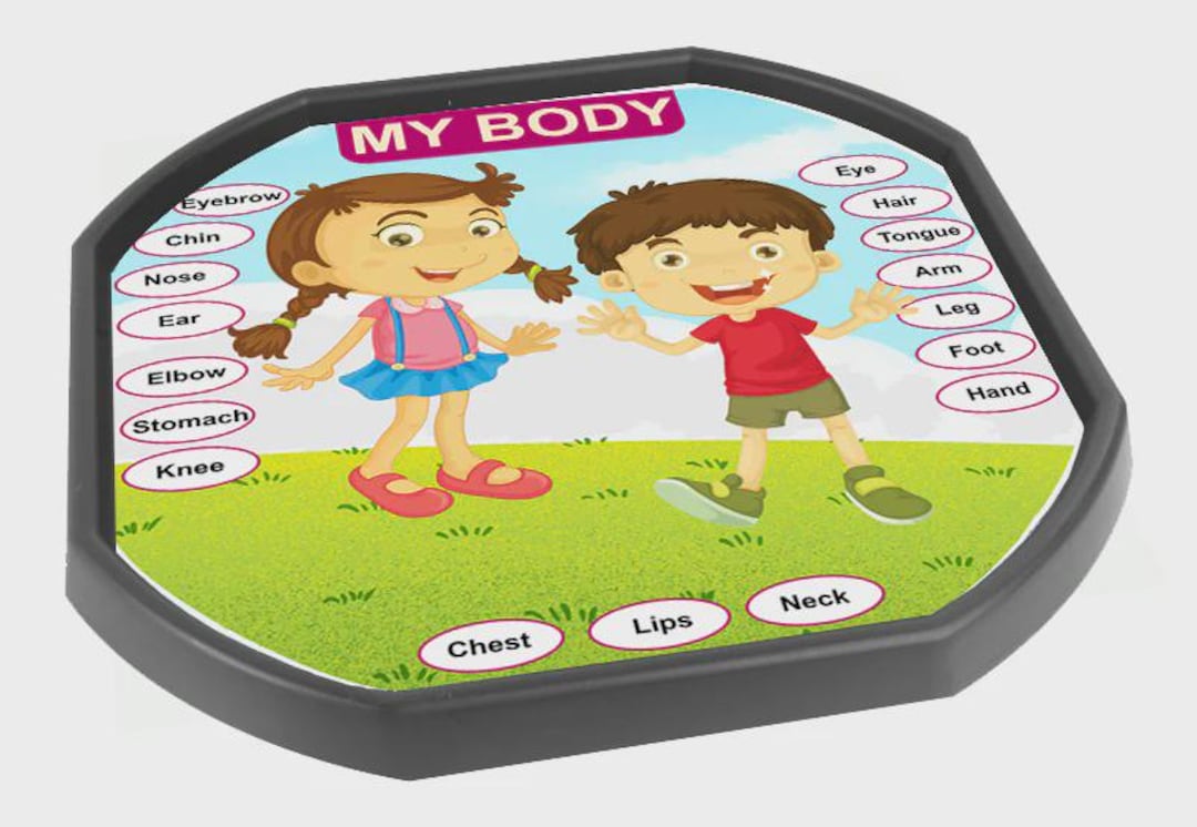 My Body - Tuff Tray Insert - Etsy UK