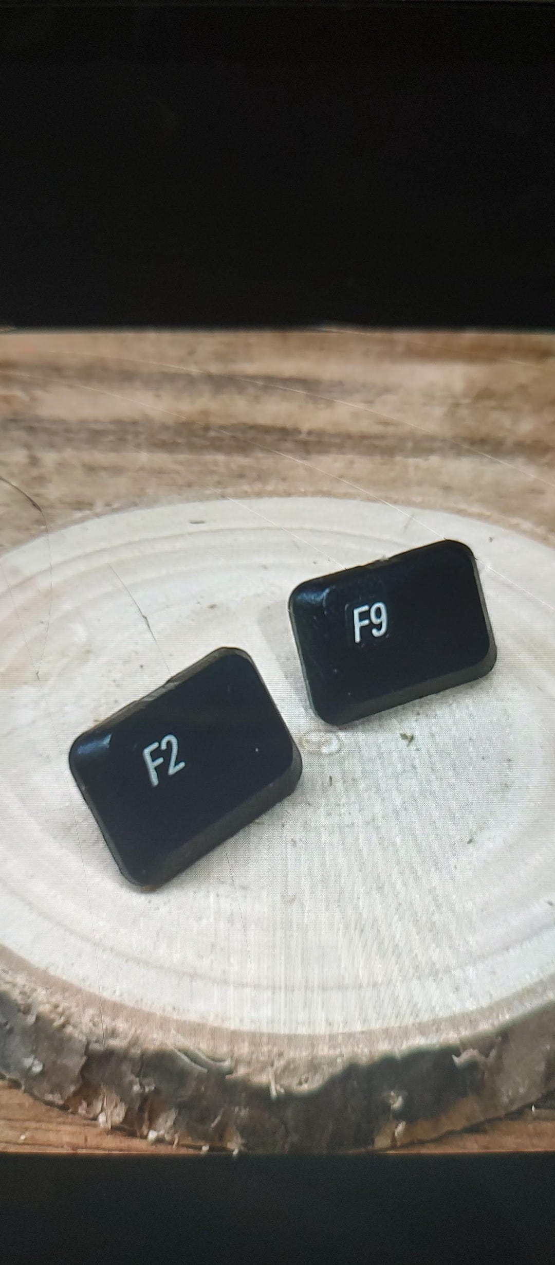 Handmade Function Key Computer Keyboard Key Earrings. F2 and F9 Keys ...