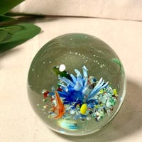 Vintage Domed Resin Paperweight With Starfish and Shells - Etsy