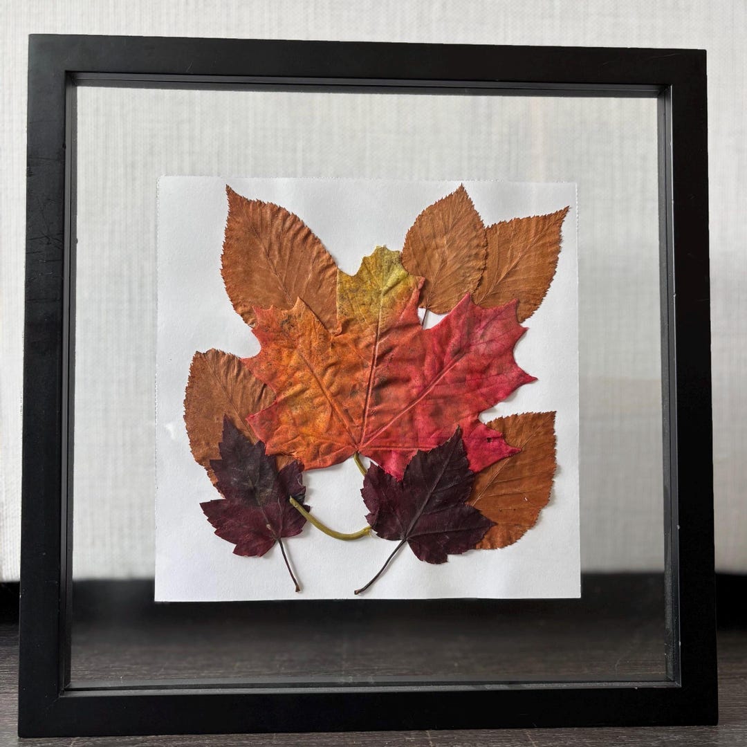 Real Dried Leaf Print, Pressed Leaf Art, Real Dried Leaves, Botanical ...