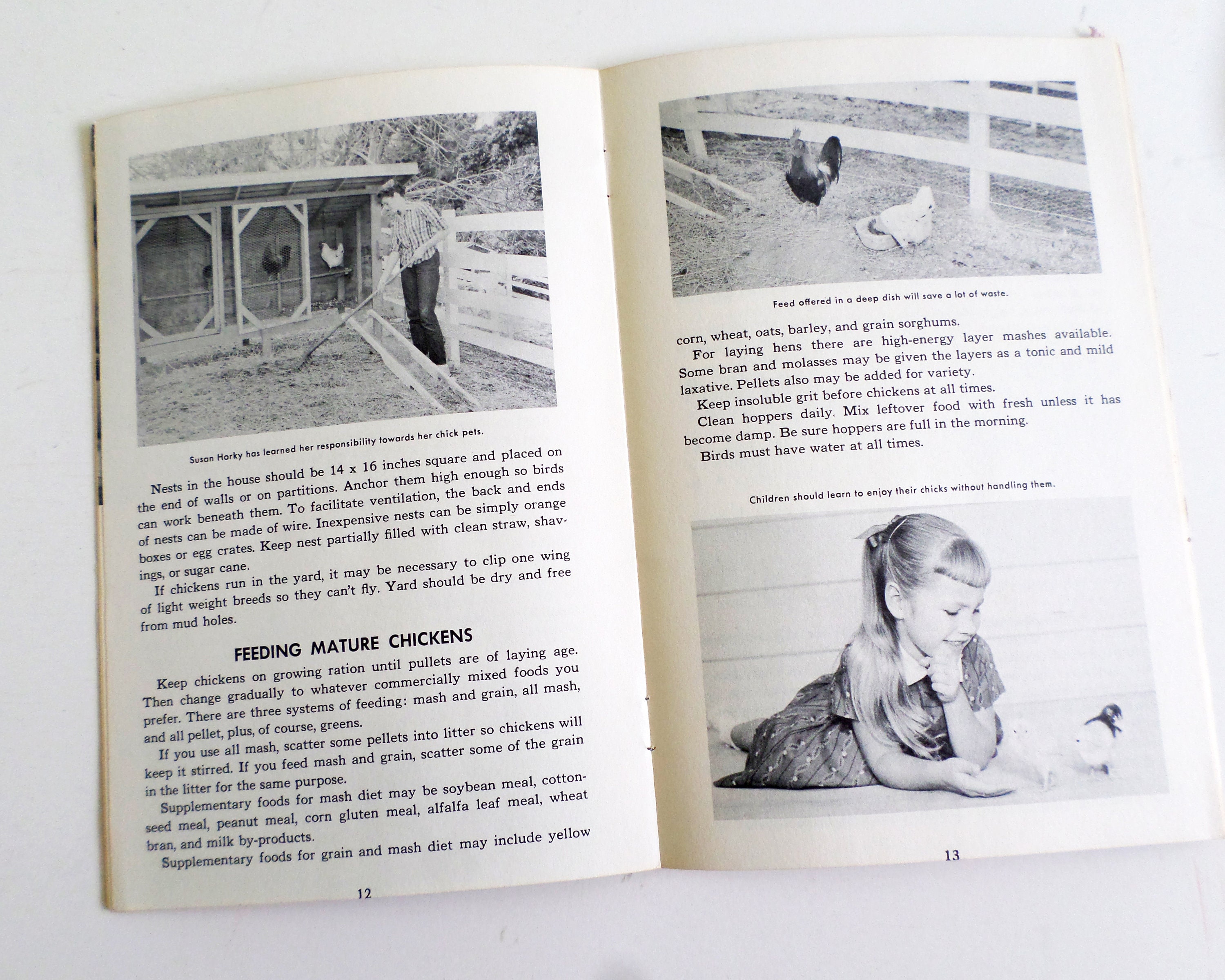 Vintage chicks as Pets Booklet 1950s Chicken - Etsy