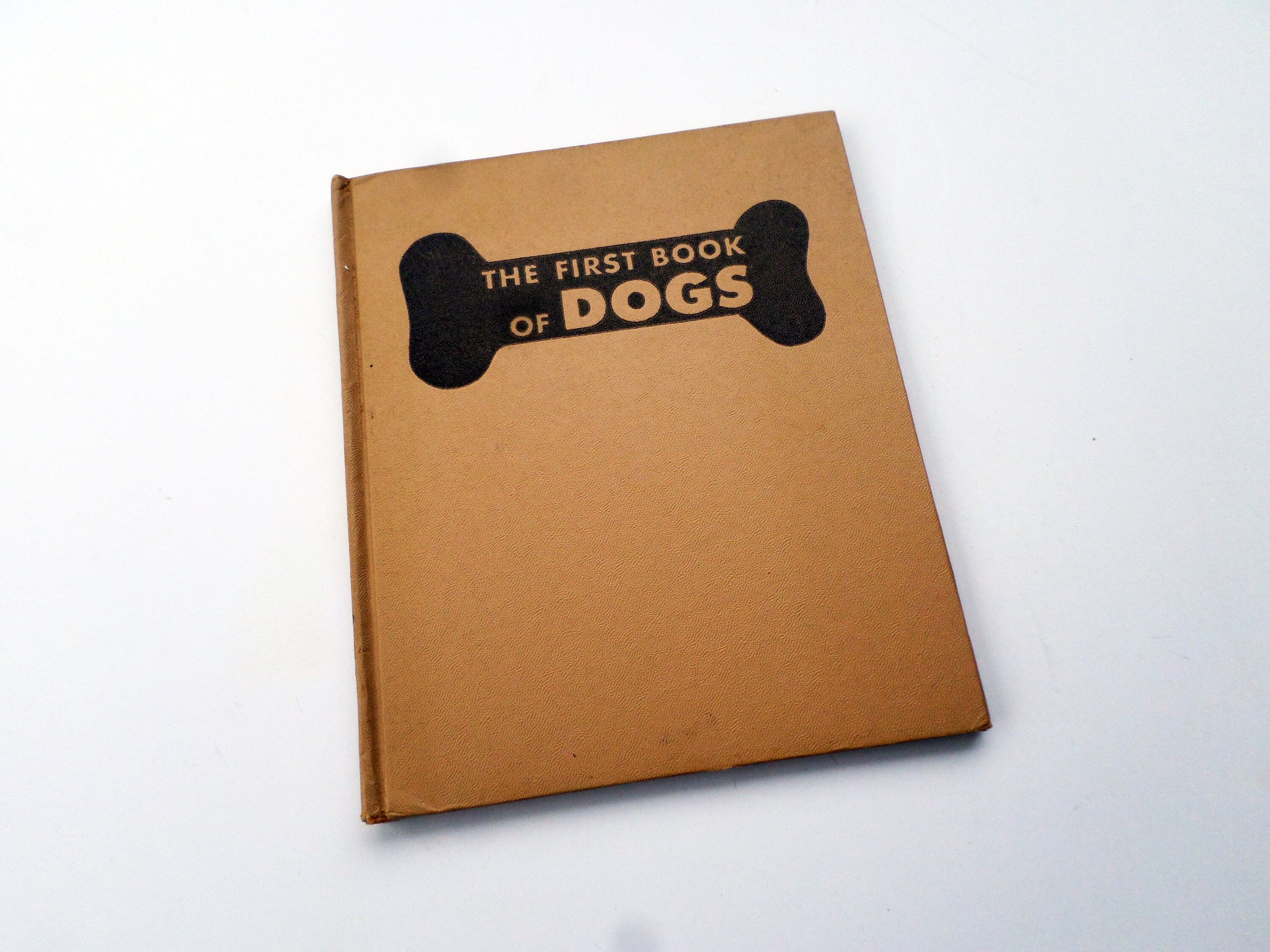 Vintage the First Book of Dogs, 1949 Illustrated Dog Book for Kids, - Etsy