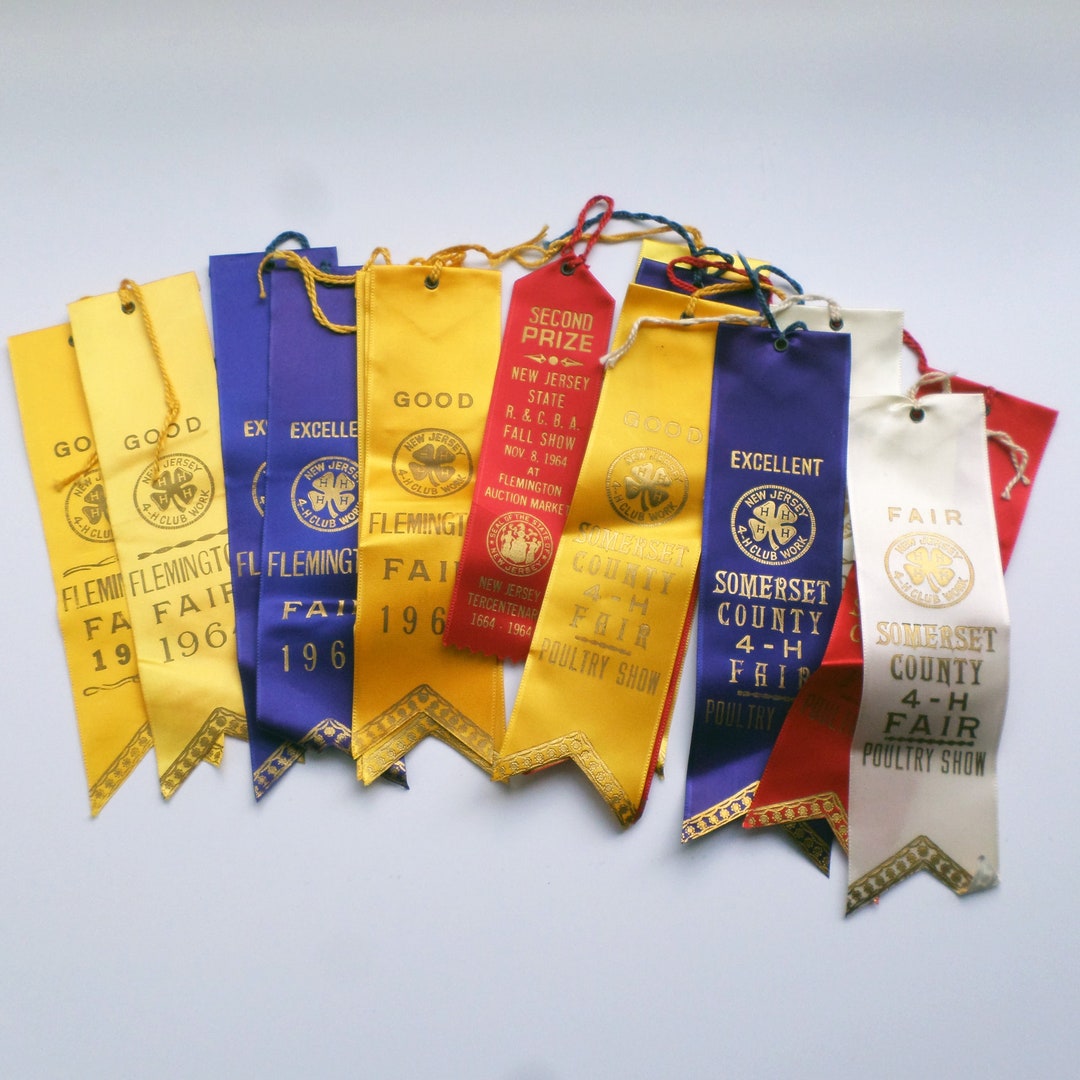 16 Vintage New Jersey 4H Ribbons 1960s Poultry Ribbons - Etsy