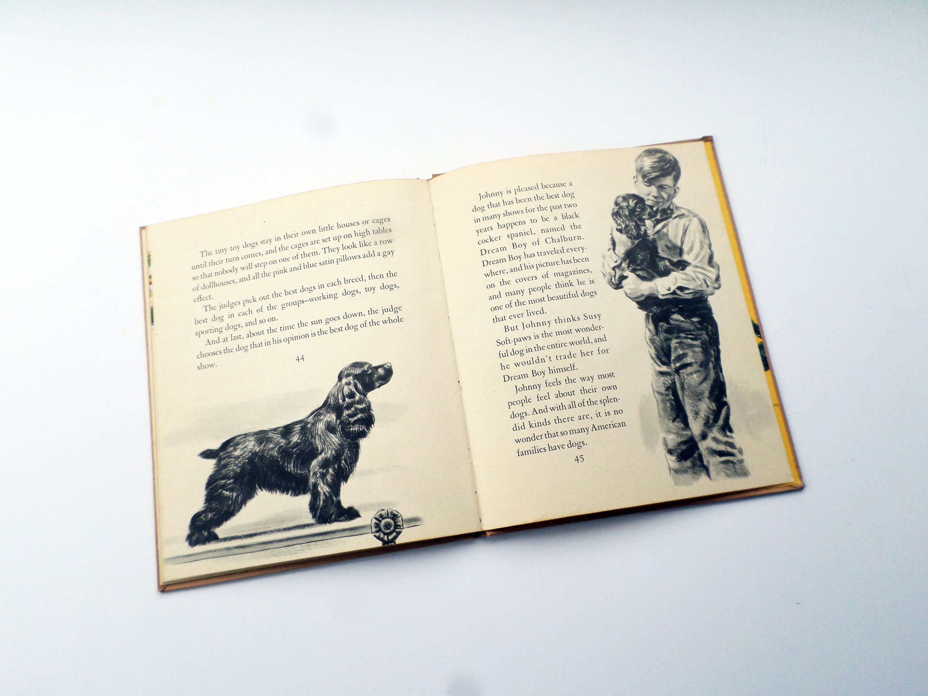 Vintage the First Book of Dogs, 1949 Illustrated Dog Book for Kids, - Etsy