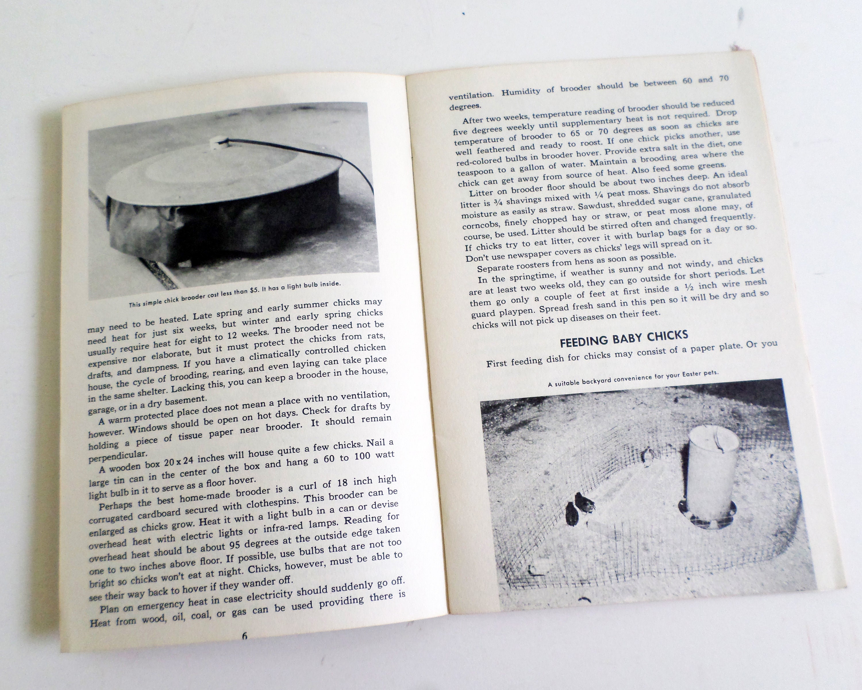 Vintage chicks as Pets Booklet 1950s Chicken - Etsy