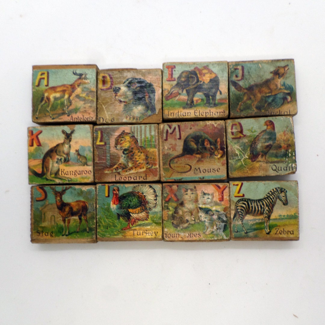 12 Antique Animal ABC and Picture Blocks, Victorian Era Lithograph ...