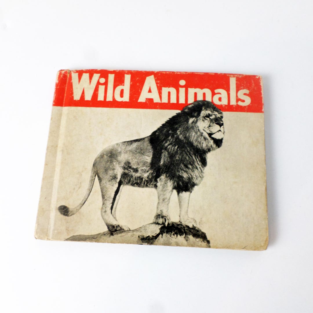 Vintage Wild Animals Book by James Gilchrist Lawson, Photographs and ...