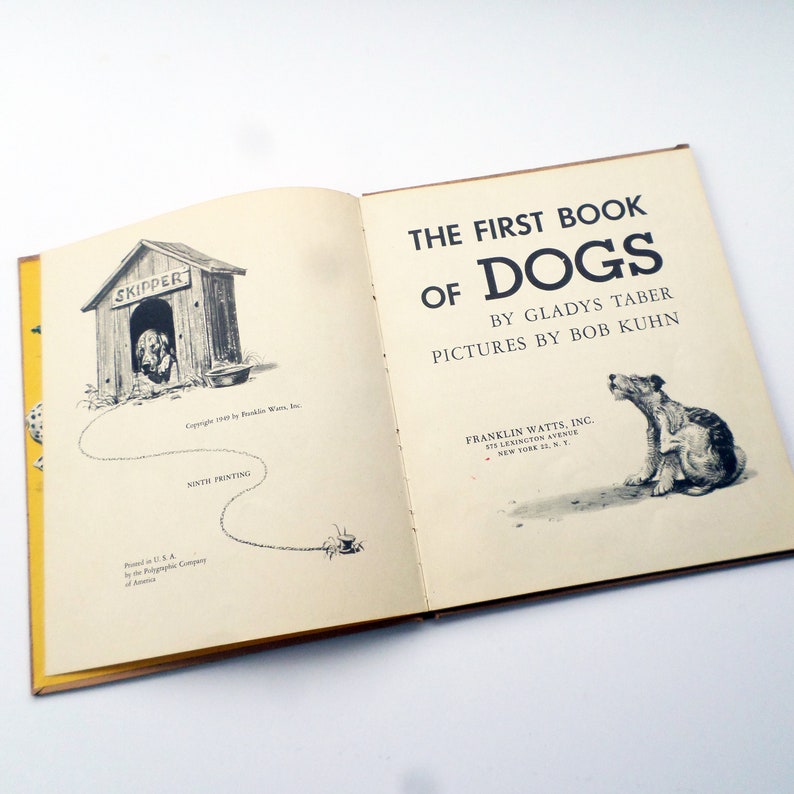 Vintage the First Book of Dogs, 1949 Illustrated Dog Book for Kids, - Etsy