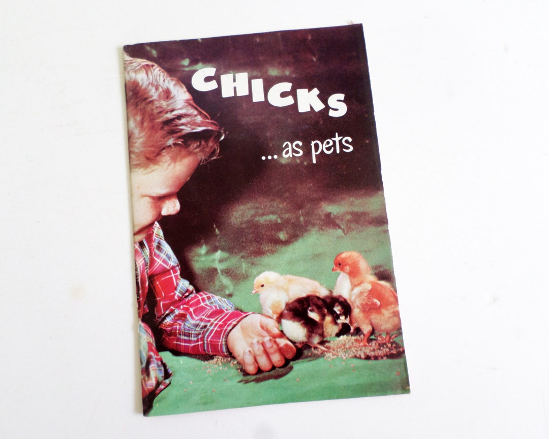 Vintage "chicks as Pets" Booklet, 1950s Chicken Raising Pamphlet ...
