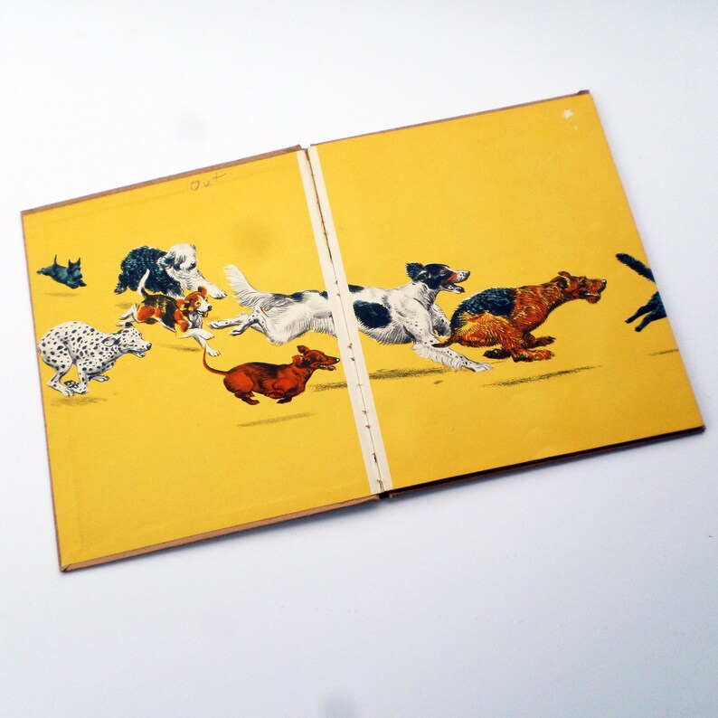 Vintage the First Book of Dogs, 1949 Illustrated Dog Book for Kids, - Etsy