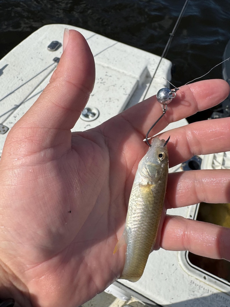 Back Bay Baller - Live Bait Jigheads - Etsy