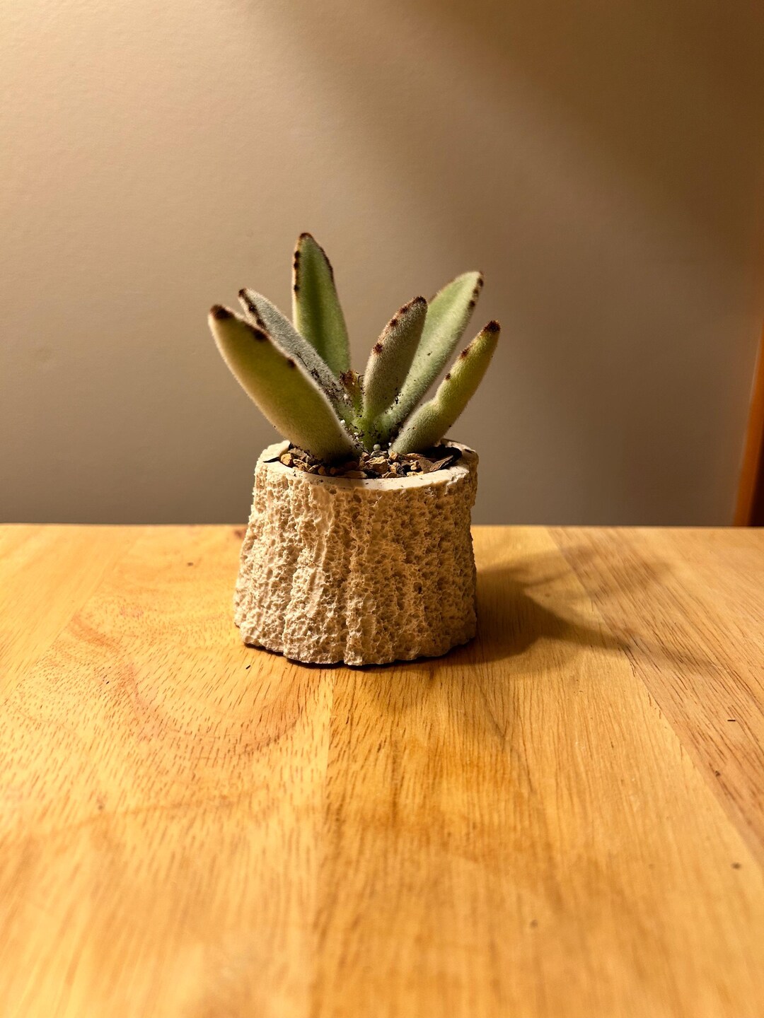 Eco-friendly Resin Tree Stump Succulent Pot - Etsy