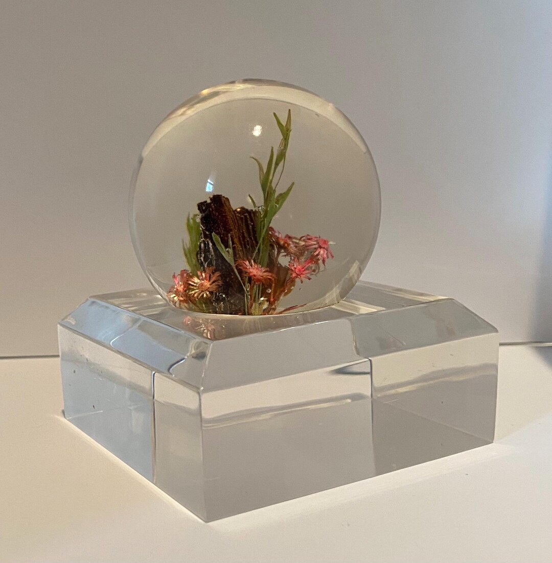 Lucite Paperweight With Dried Flowers // Vintage Circa 1970s - Etsy