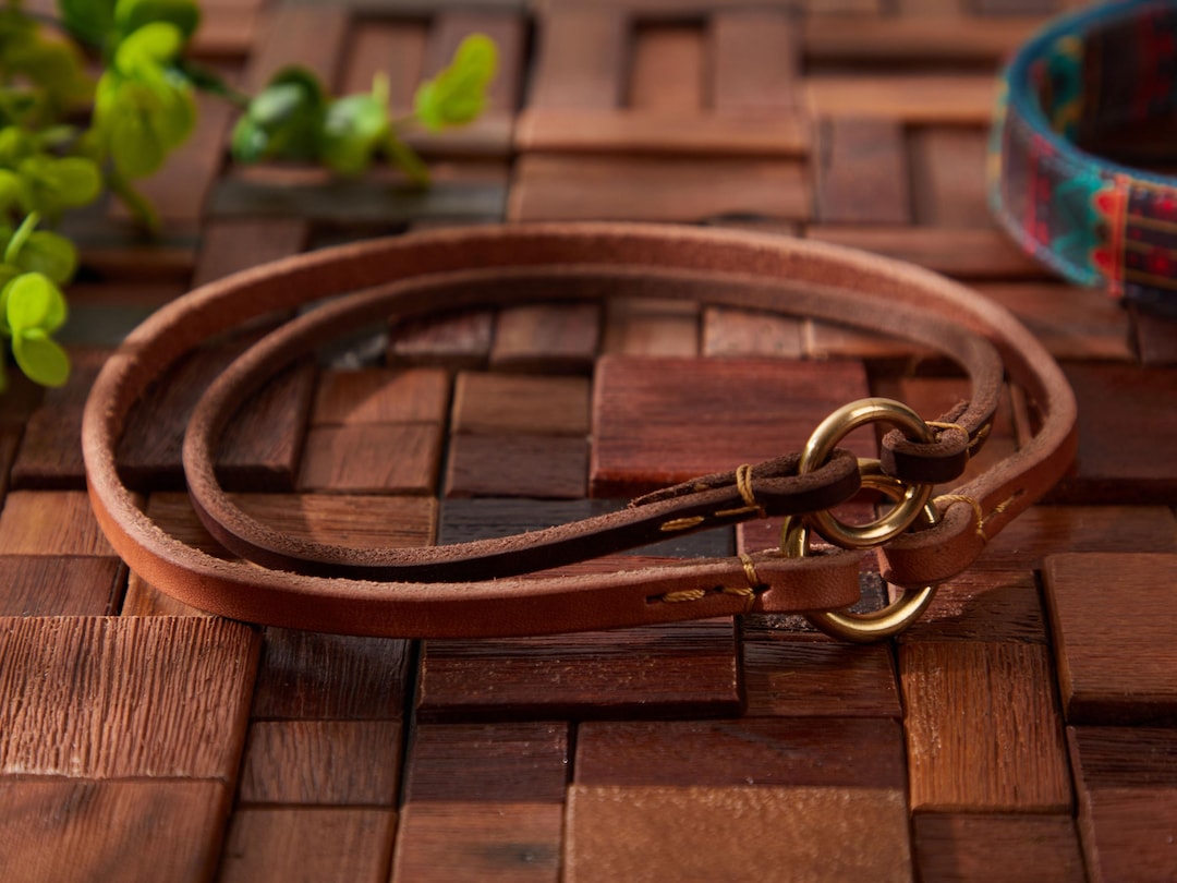 Leather Dog ID Collar With Brass Ring - Etsy