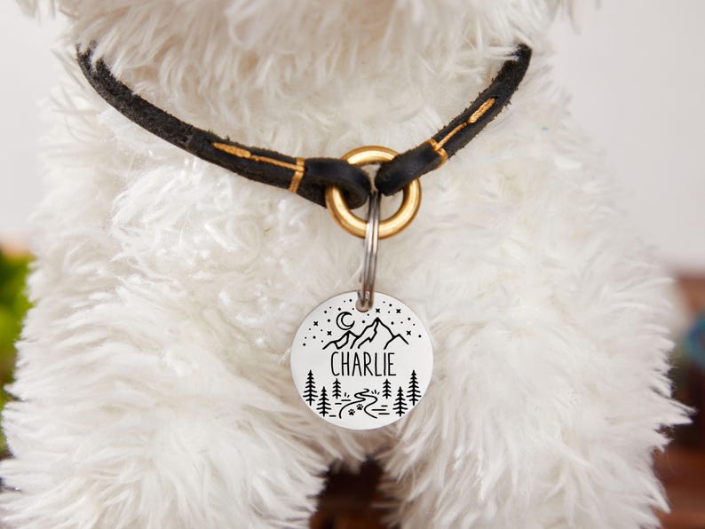 Leather Dog ID Collar With Brass Ring - Etsy