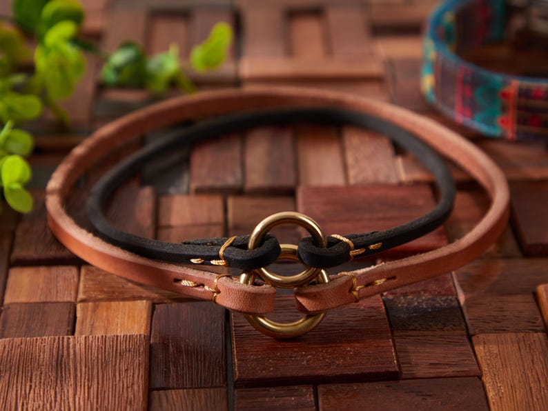 Leather Dog ID Collar With Brass Ring - Etsy
