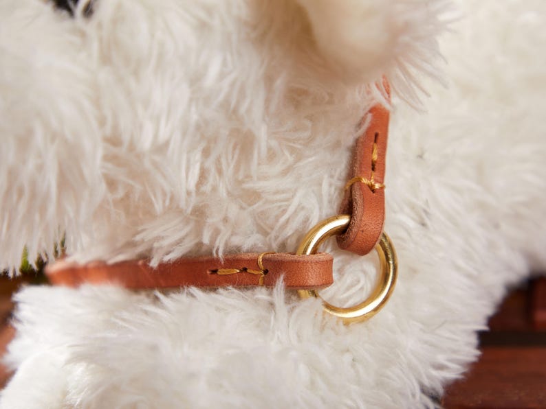 Leather Dog ID Collar With Brass Ring - Etsy