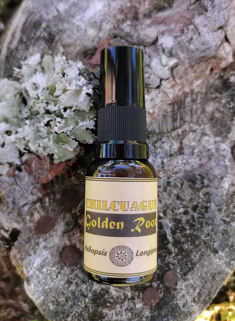 Espray botánico de raíz de chilcuague – Aztec Golden Root, hecho a mano ...