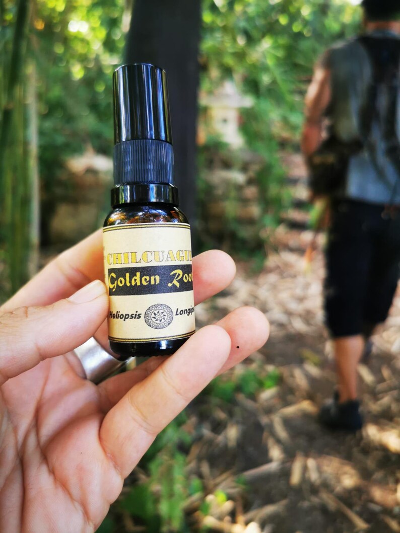 Espray botánico de raíz de chilcuague – Aztec Golden Root, hecho a mano ...