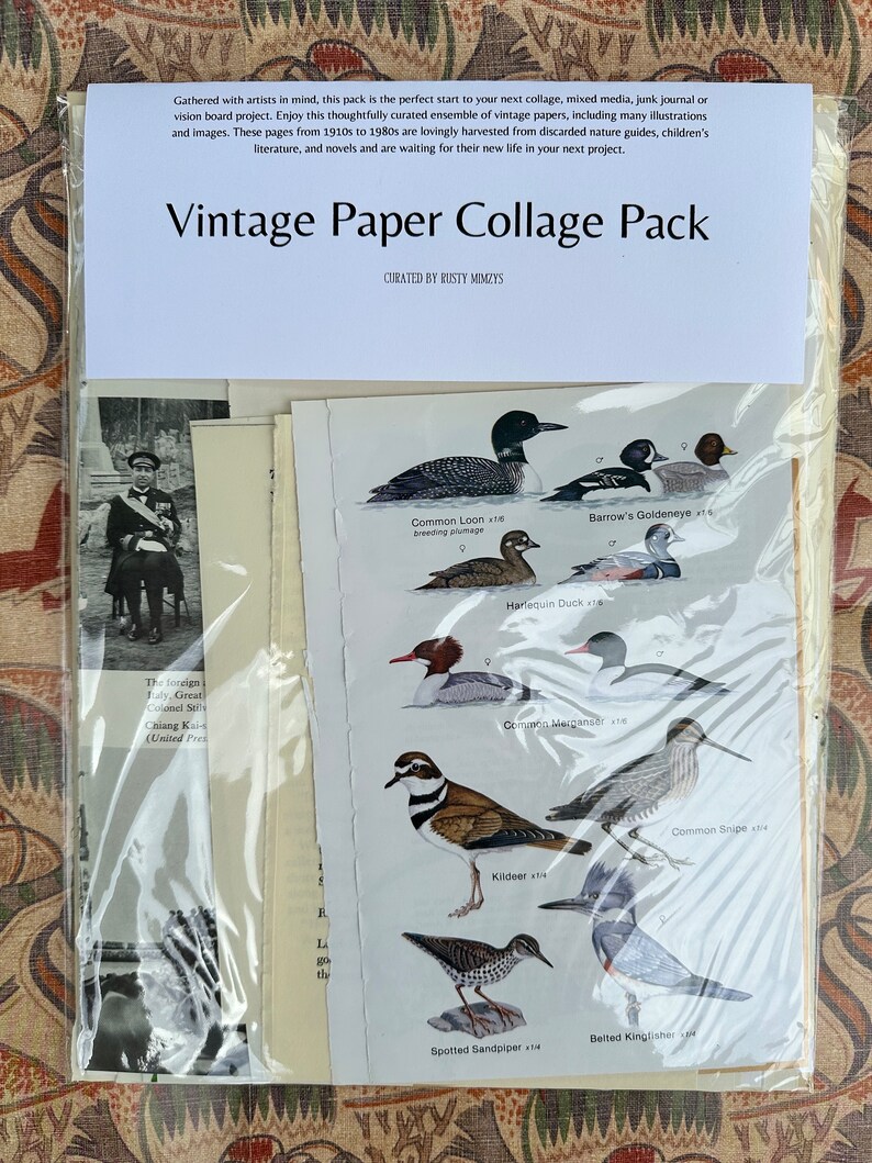 Vintage Paper Collage Pack | Large 9x12 Inch Curated Bundle for Collage ...