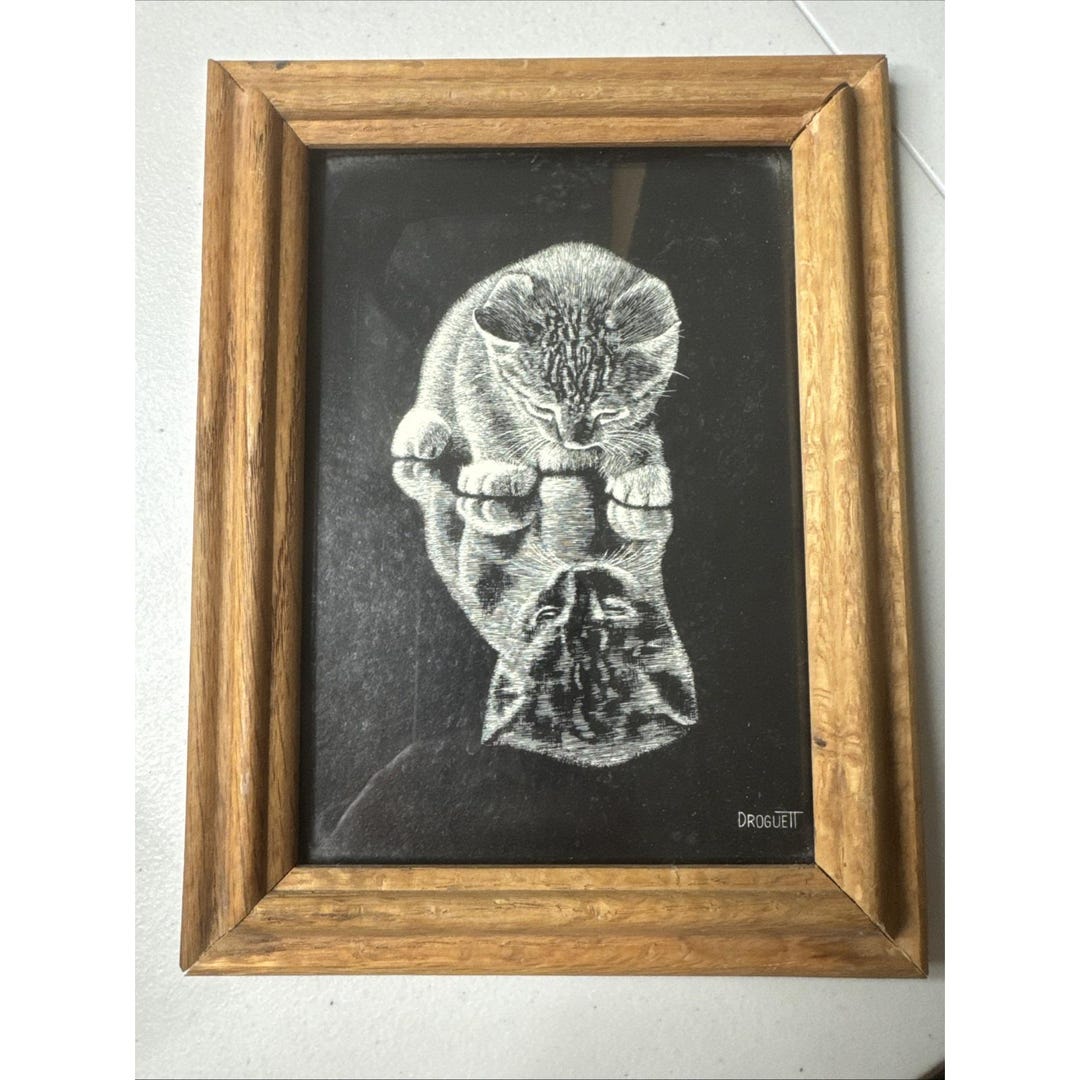 Vintage 1976 Rudy Droguett Kitten Cat "reflections" Wall Art Wood Frame ...