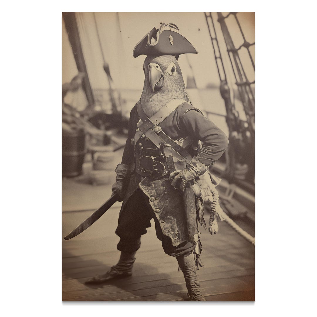 Pirate Parrot Premium Matte/glossy Paper Poster, Victorian Vintage ...