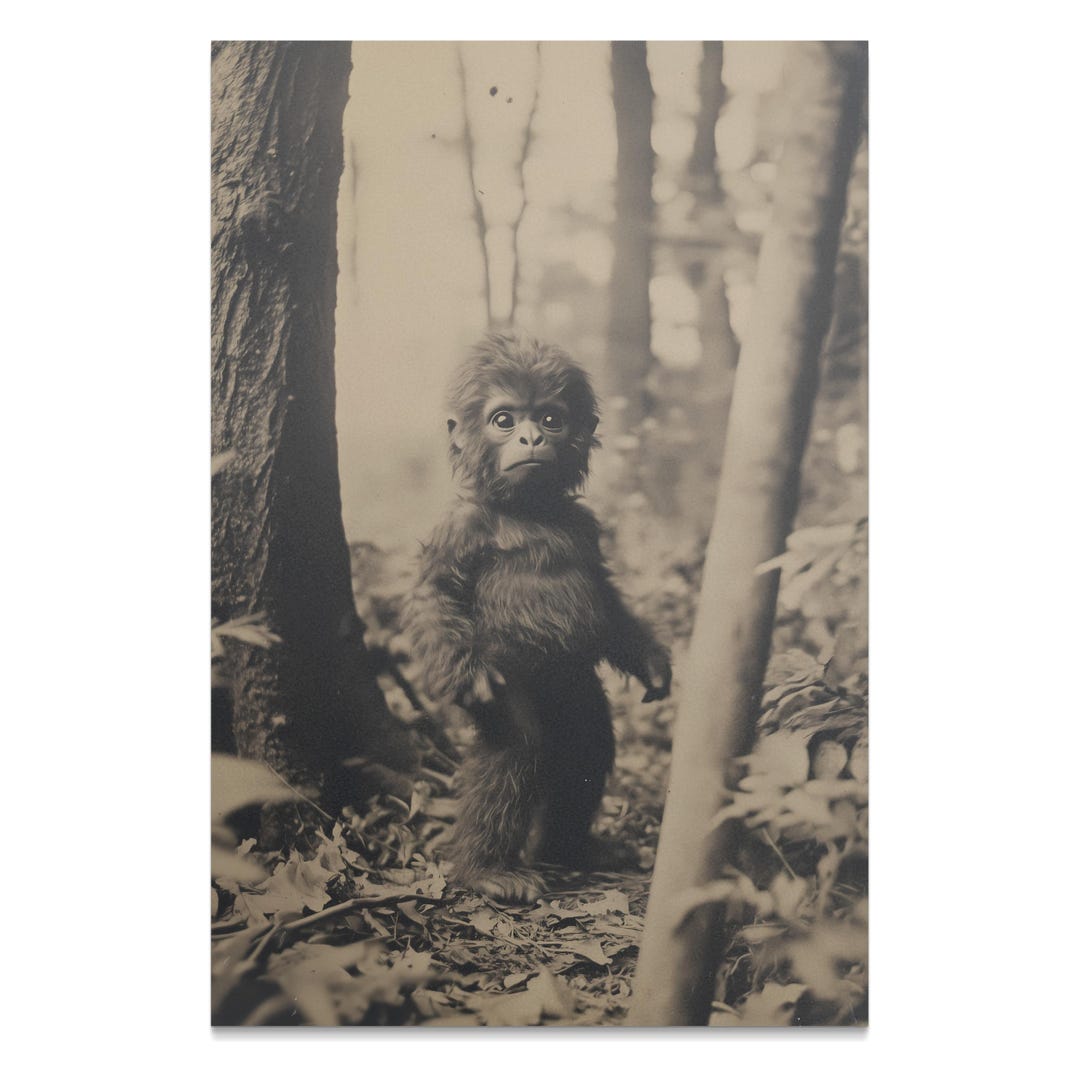 Baby Sasquatch Premium Matte/glossy Paper Poster, Victorian Vintage ...