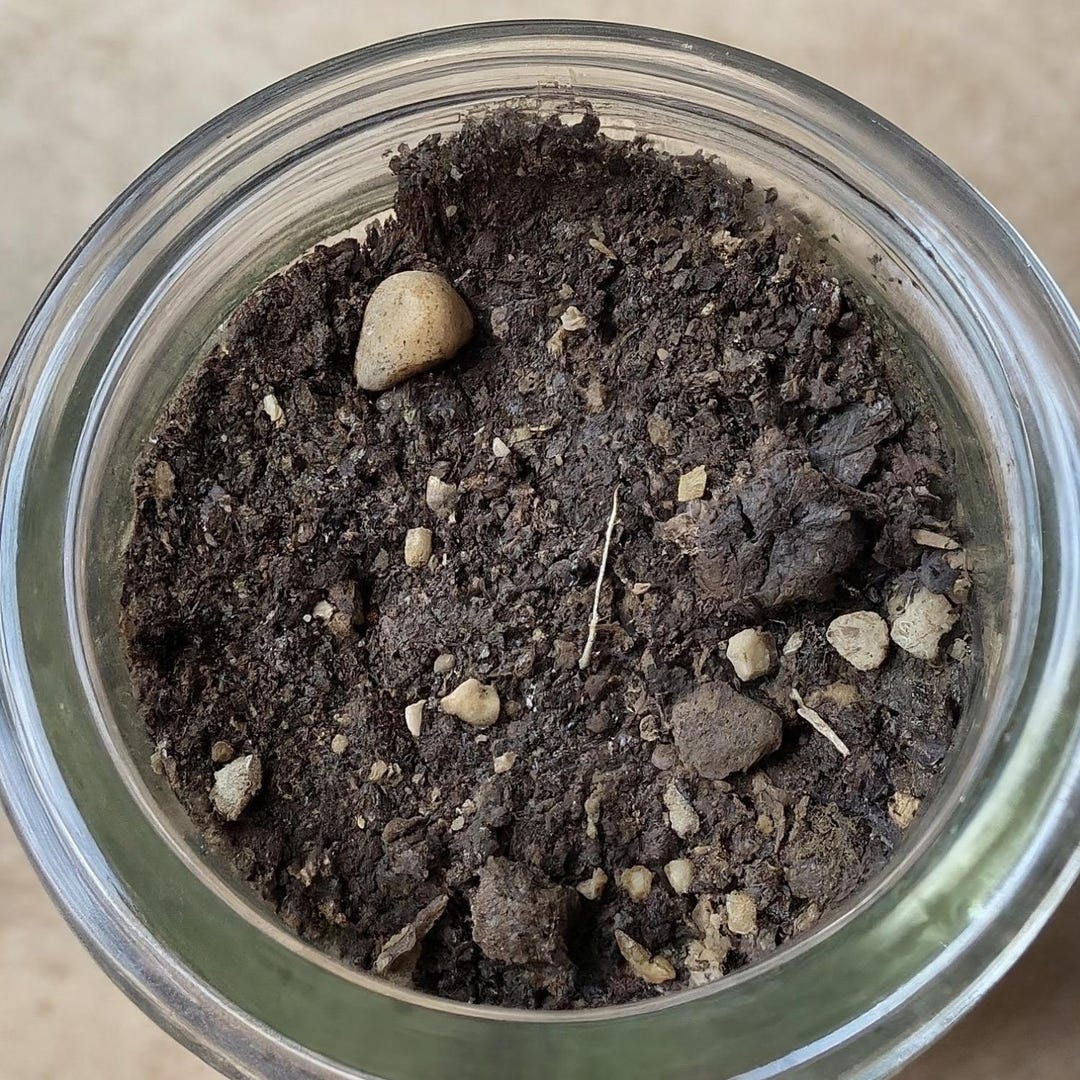 Graveyard Dirt for Witchcraft Spells, Protection Spells, Curses, and ...